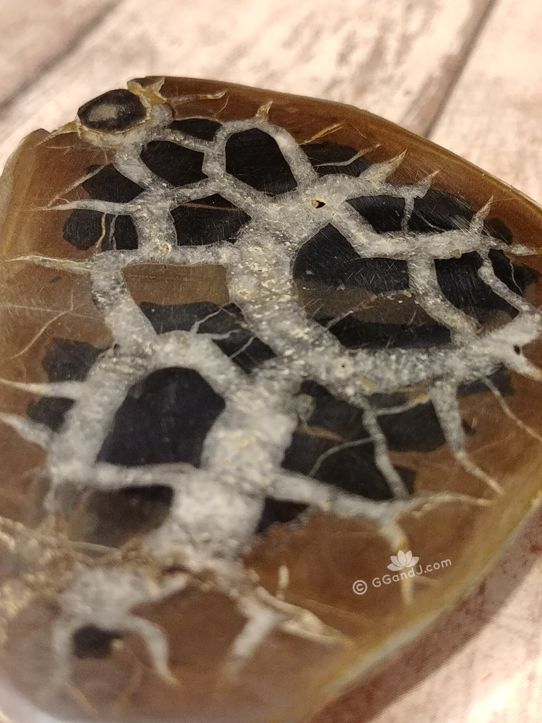 Septarian Fossil Nodule half – Gypsy Gems & Jewelry