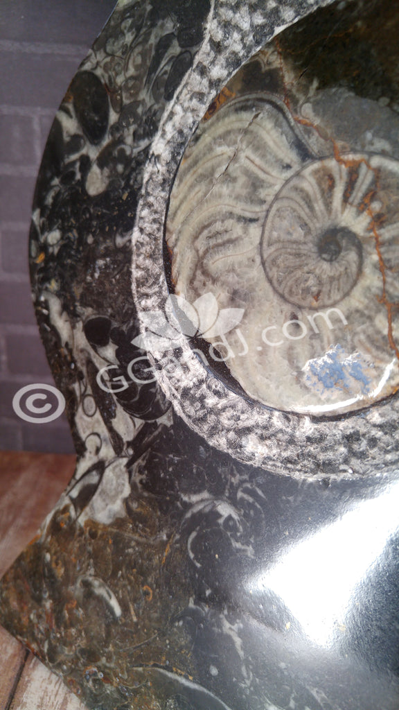 Orthoceras & Ammonite Goddess Statue - 2 – Gypsy Gems & Jewelry