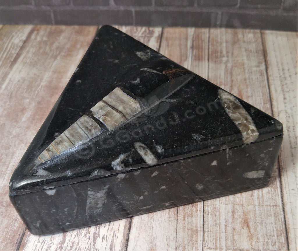 Ammonite Keepsake Box - Medium - Triangle – Gypsy Gems & Jewelry