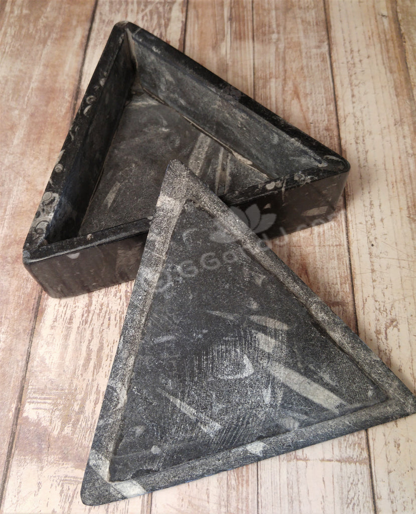 Ammonite Keepsake Box - Medium - Triangle – Gypsy Gems & Jewelry